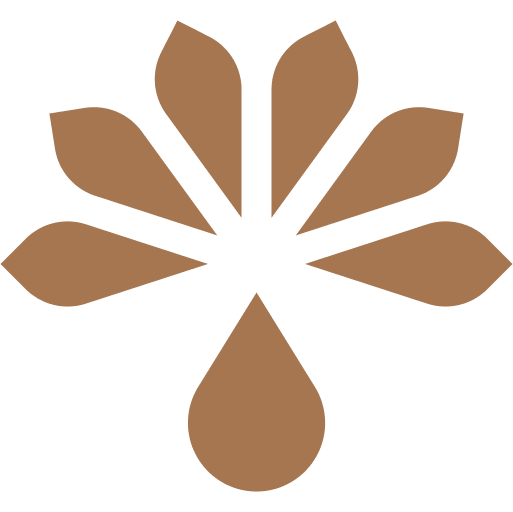 About Us - Royal Edge Tourism