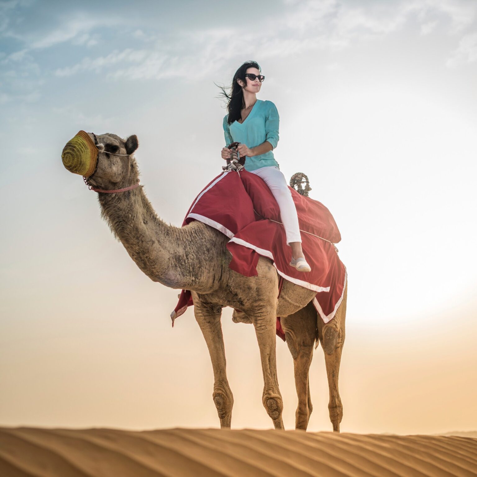 About Us - Royal Edge Tourism